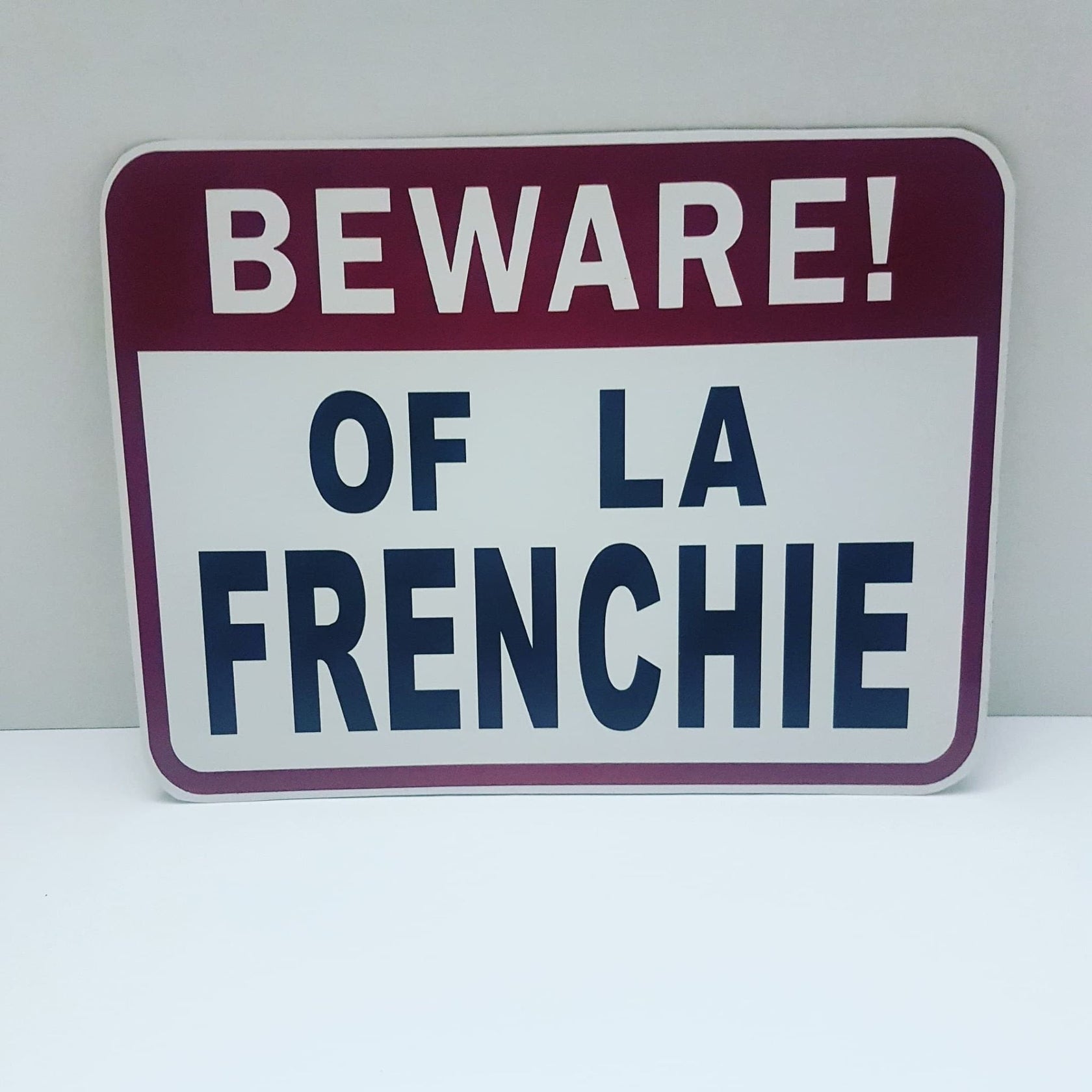 Sign Area 51 no trespassing aliens – Wainfleet Trading Post