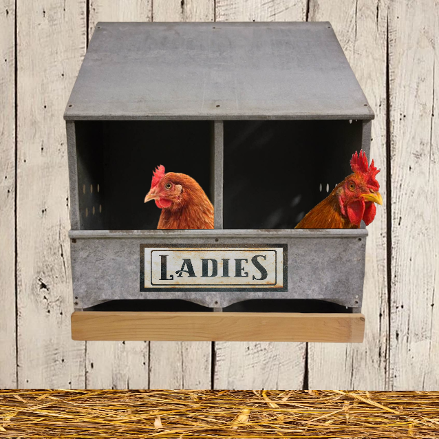 Chicken Nesting Box Commercial Quality Backyard Chickens – Wainfleet ...